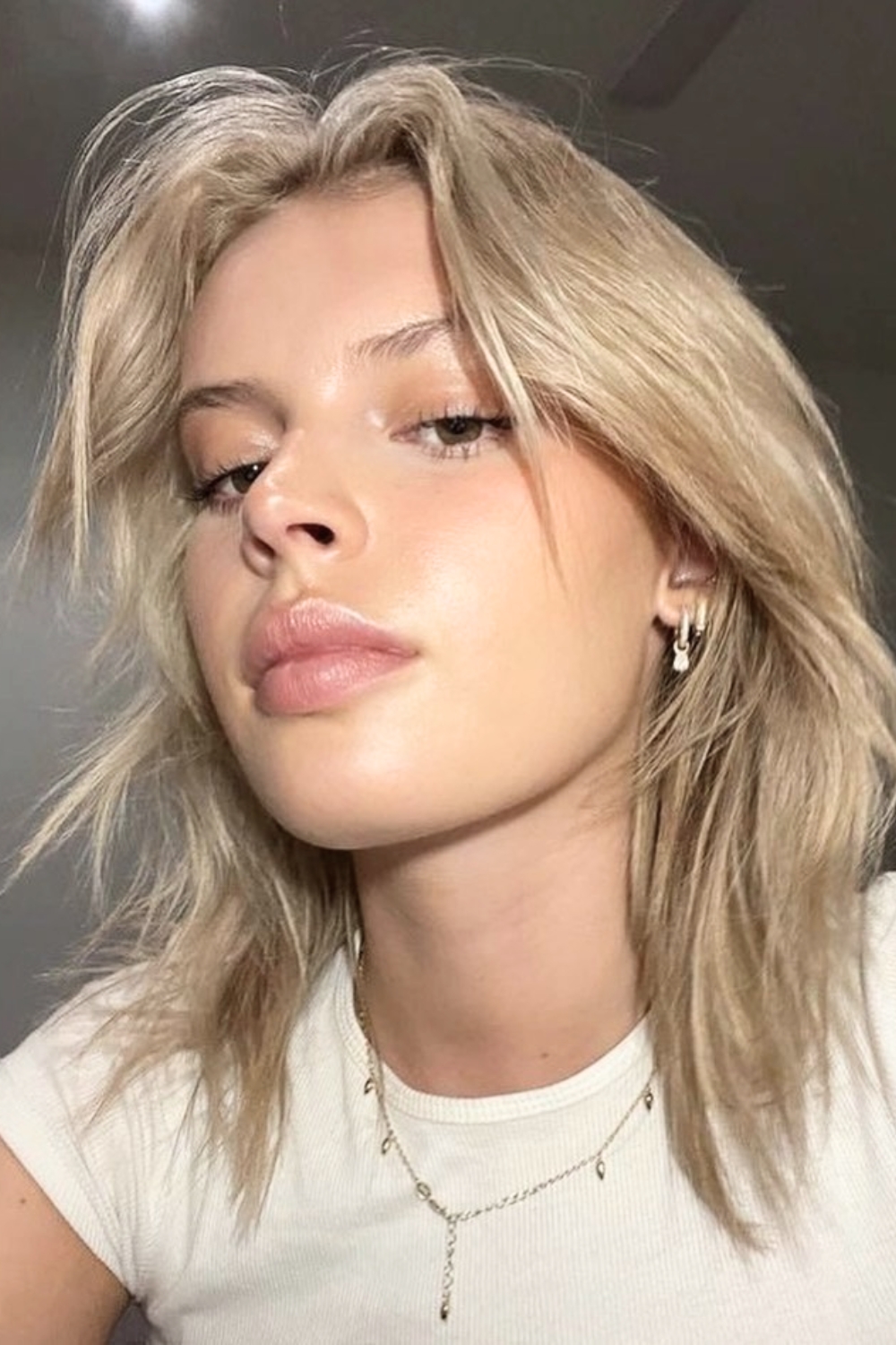 23 Wolf Cut Hairstyles - Stylish Hair Ideas